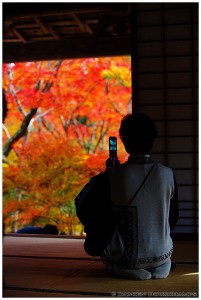 Seiza| Lots of pins and needles from this way of sitting! | J T ...